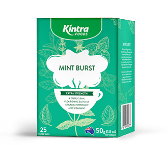 Mint Burst Tea Teabags – SuperNatural Health Online